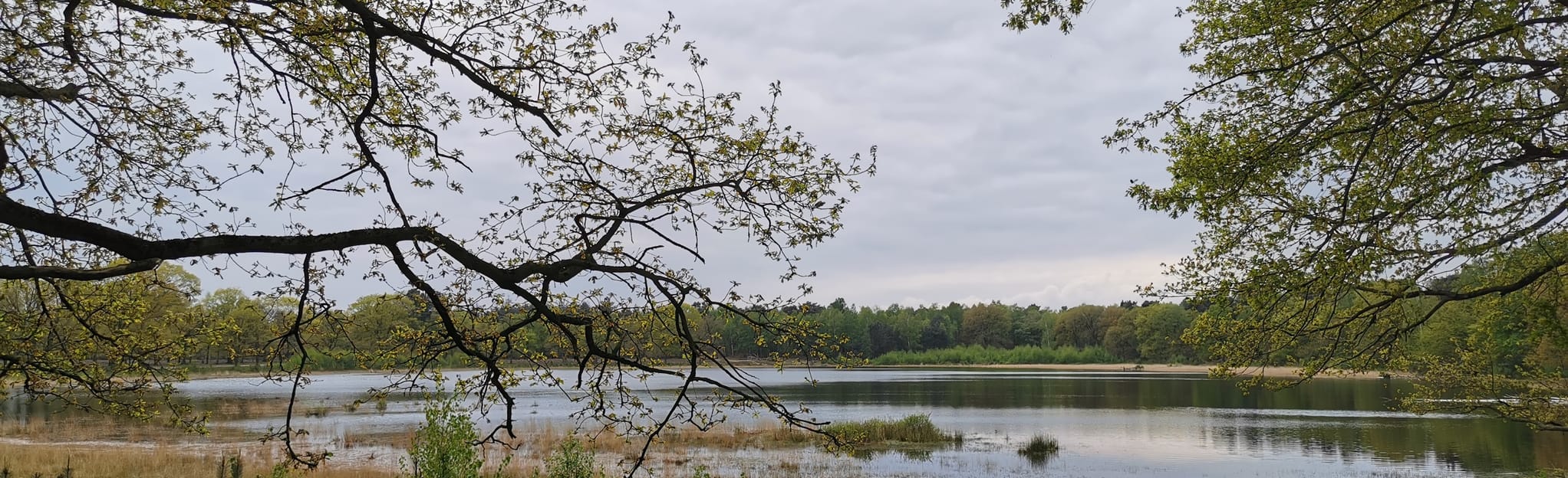 MTB Routenetwerk De Maashorst Rondje Herperduin: 27 Reviews, Map ...