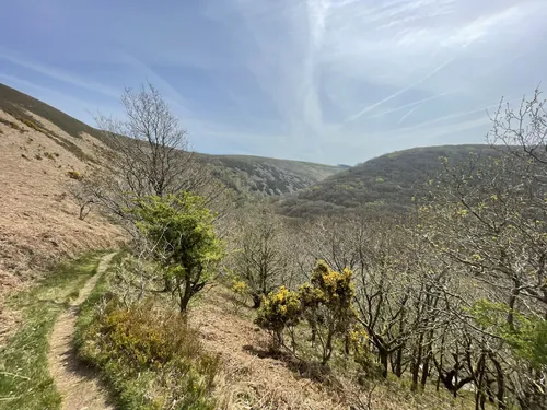 Best Cave Trails in Exmoor National Park | AllTrails