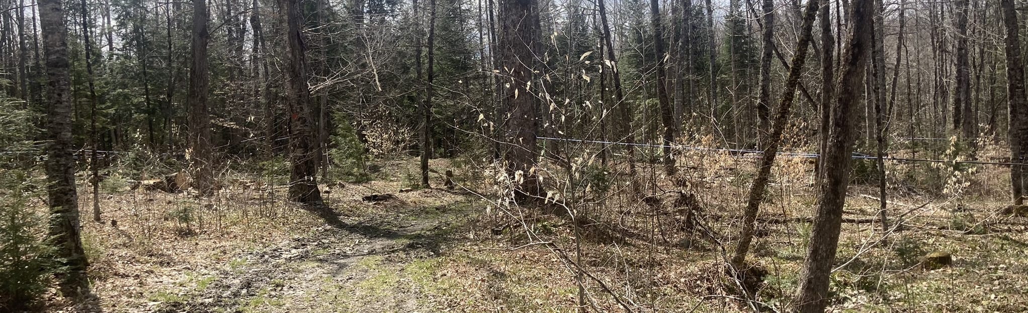 Eaton Brook, Shepard's, and Larry's Legacy Trail Loop, Vermont - 36 ...