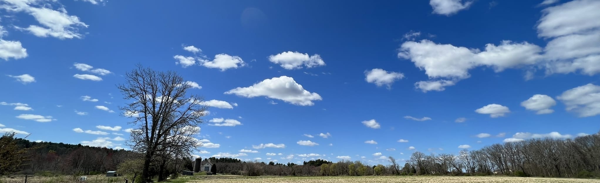 Battle Road Trail, Massachusetts - 1,034 Reviews, Map | AllTrails