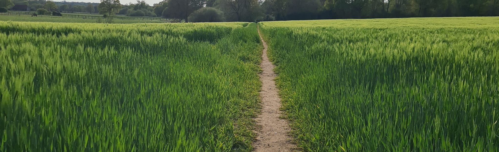 Swallowfield Circular, Berkshire, England - 28 Reviews, Map | AllTrails