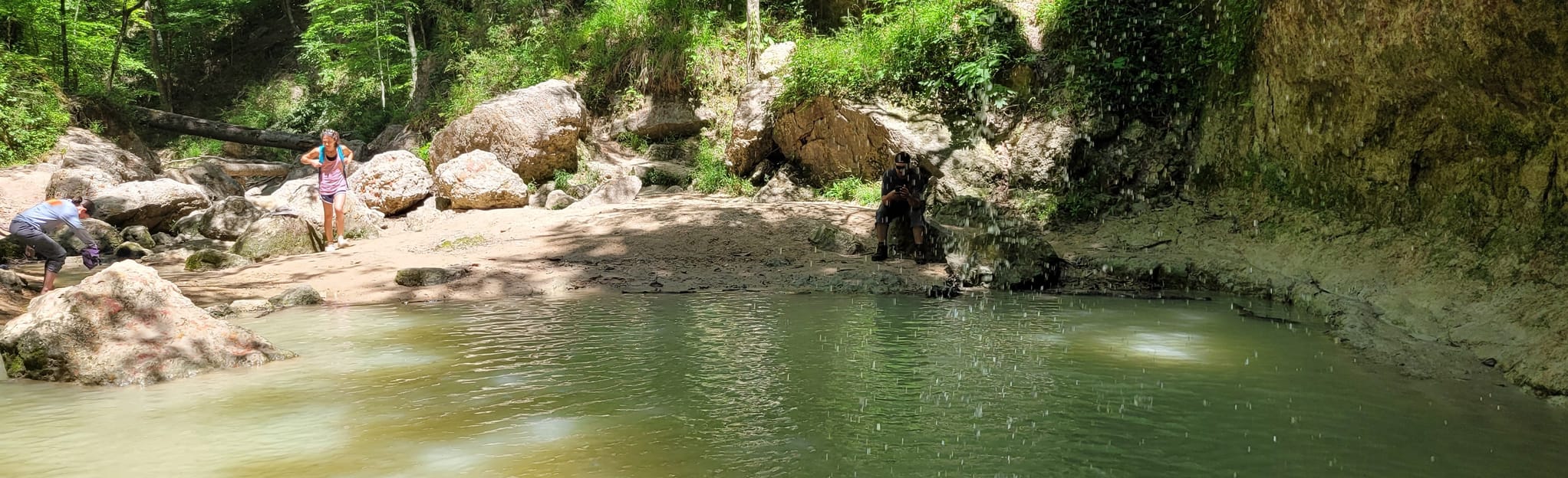 Clark Creek Improved Trail, Mississippi - 401 Reviews, Map | AllTrails