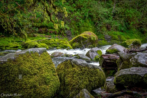 Best Hikes and Trails in Lane County Park | AllTrails