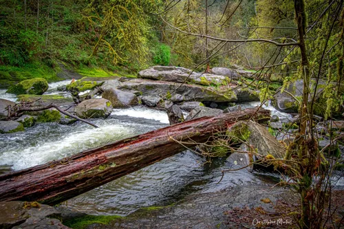 Best Hikes and Trails in Blachly | AllTrails