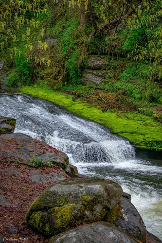 Best Hikes and Trails in Blachly | AllTrails