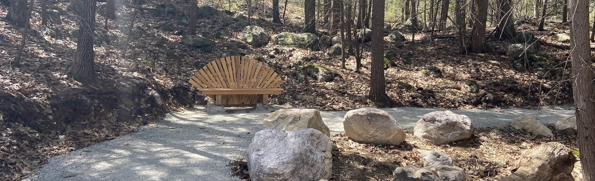 Cedar Swamp All Persons Trail: 94 Reviews, Map - New Hampshire | AllTrails