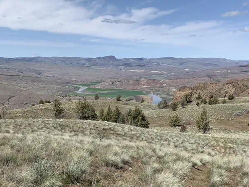 Best Hikes and Trails in Spring Basin Wilderness | AllTrails