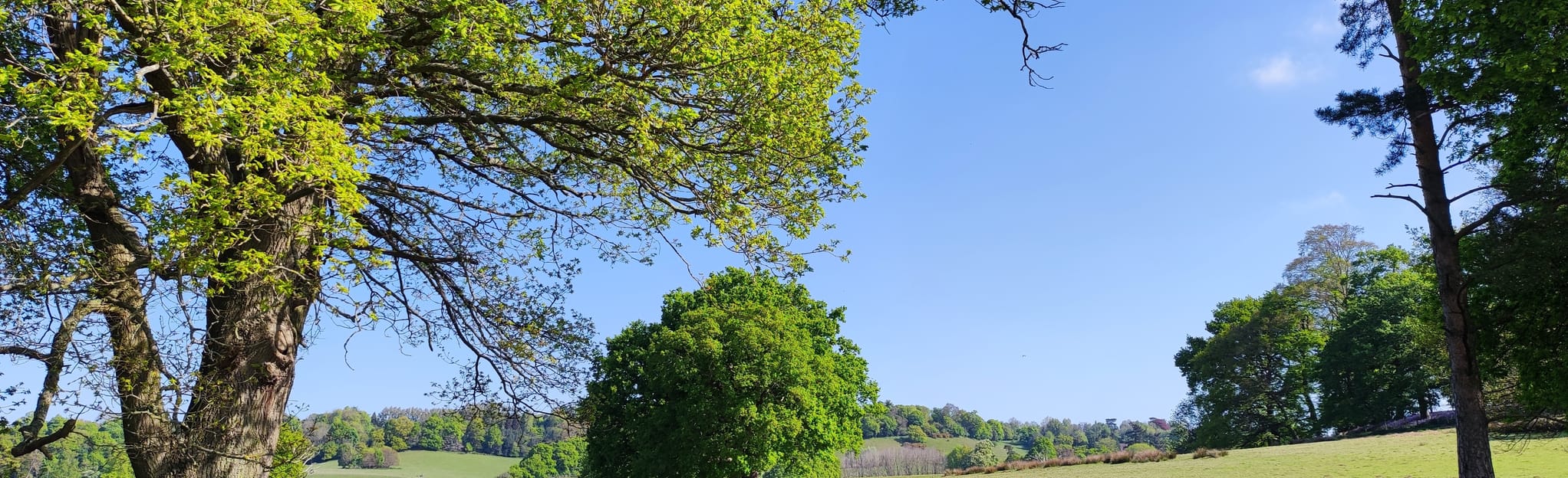 South Nutfield Circular, Surrey, England - 7 Reviews, Map | AllTrails