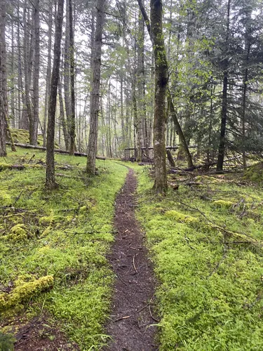 10 Best Trails and Hikes in Saltspring Island Trust Area | AllTrails