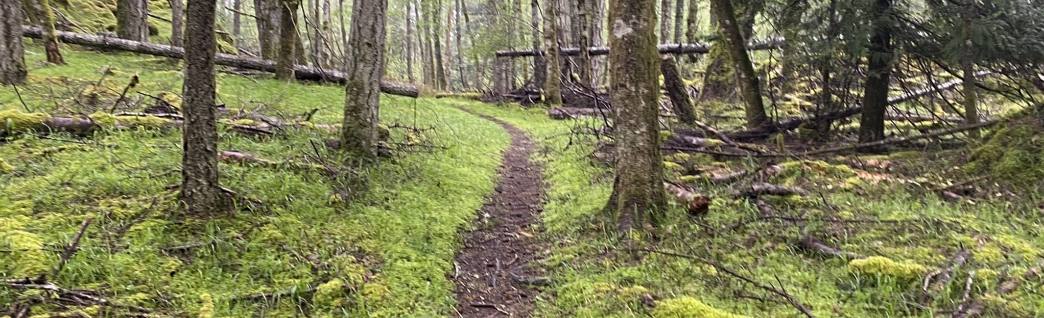 Beaver Point Provincial Park to Hilltop: 3 Reviews, Map - British ...