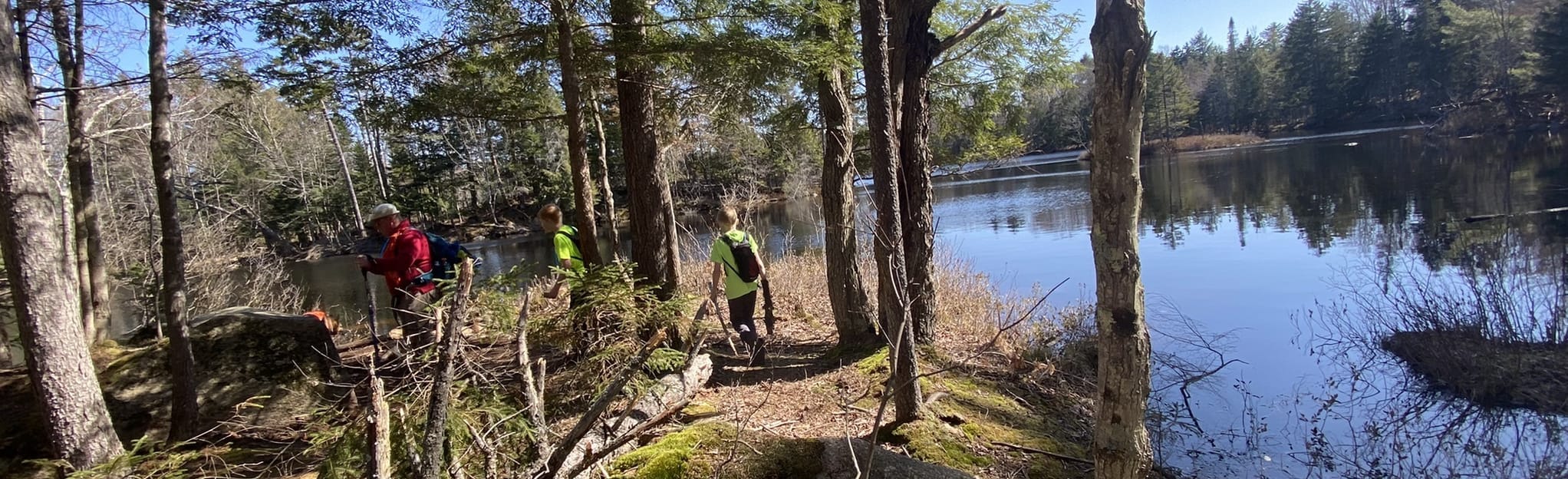 Cranberry Lake 50 Loop: 244 Reviews, Map - New York | AllTrails