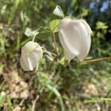 Dave Moore Nature Trail, California - 330 Reviews, Map | AllTrails