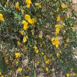 Dave Moore Nature Trail, California - 330 Reviews, Map | AllTrails