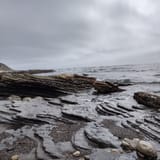 Hazard Reef Trail, California - 210 Reviews, Map | AllTrails
