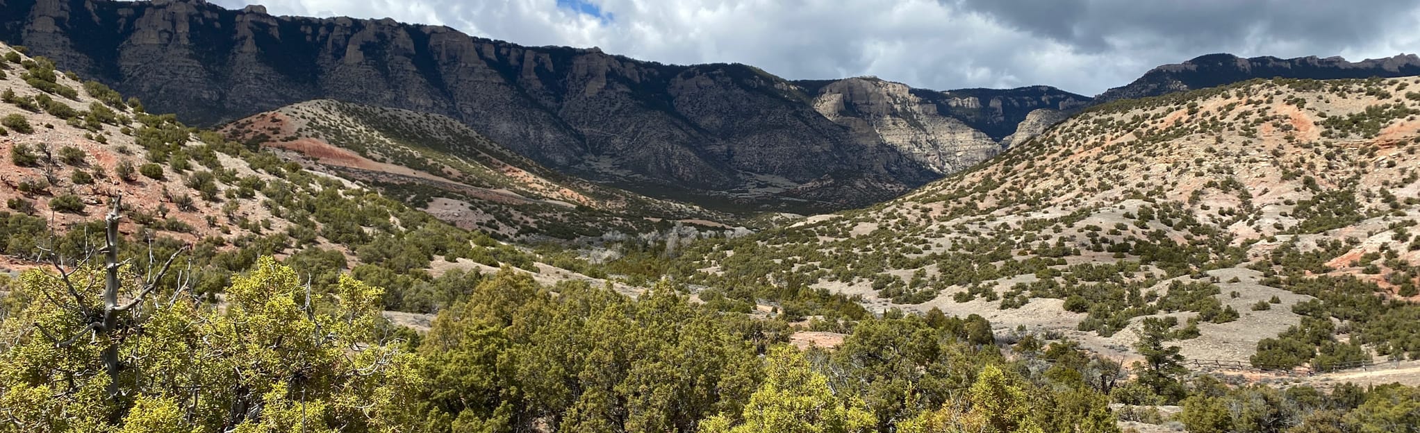 Lower Layout Creek Trail: 38 Reviews, Map - Wyoming | AllTrails