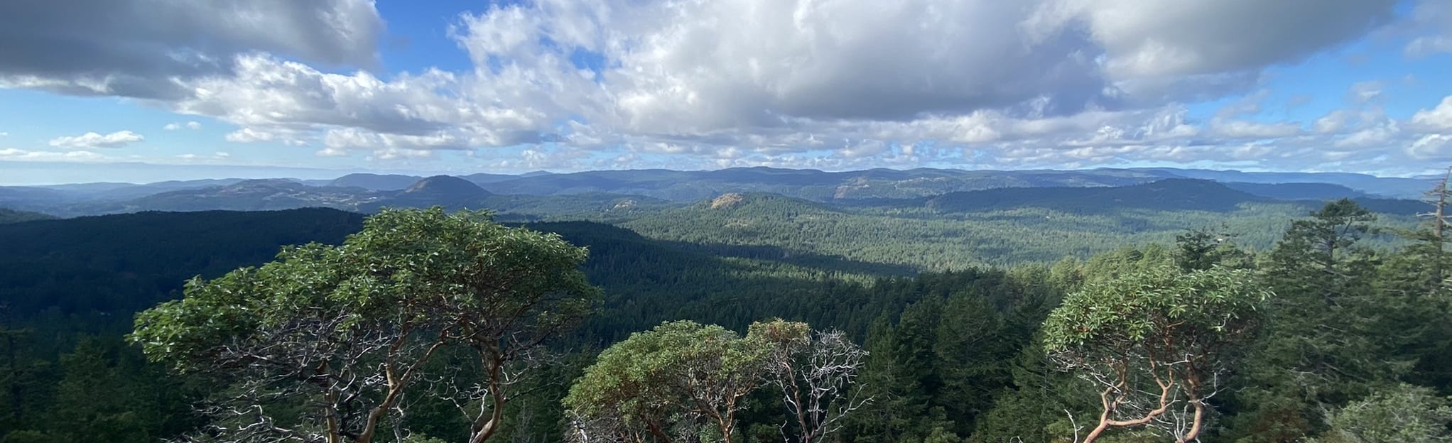 Regional Trail, Summit Trail, Raven Ridge, and Bubble Wrap Loop ...