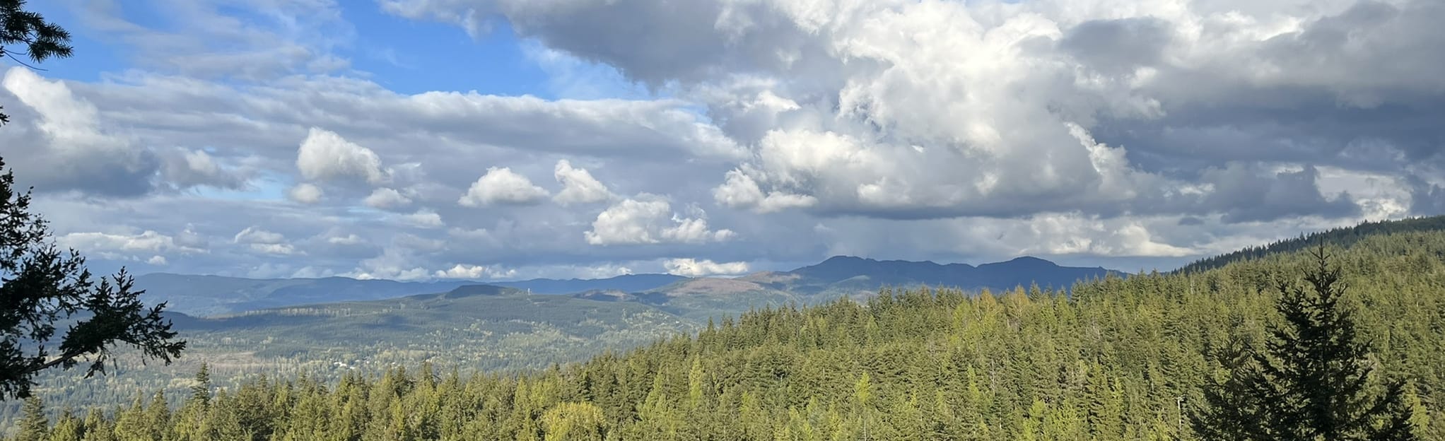 Cyrus Gates Overlook to Lost Lake Trail via Ridge Trail: 119 Reviews ...