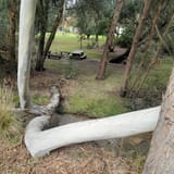 Wallaby Track, Victoria, Australia - 79 Reviews, Map | AllTrails