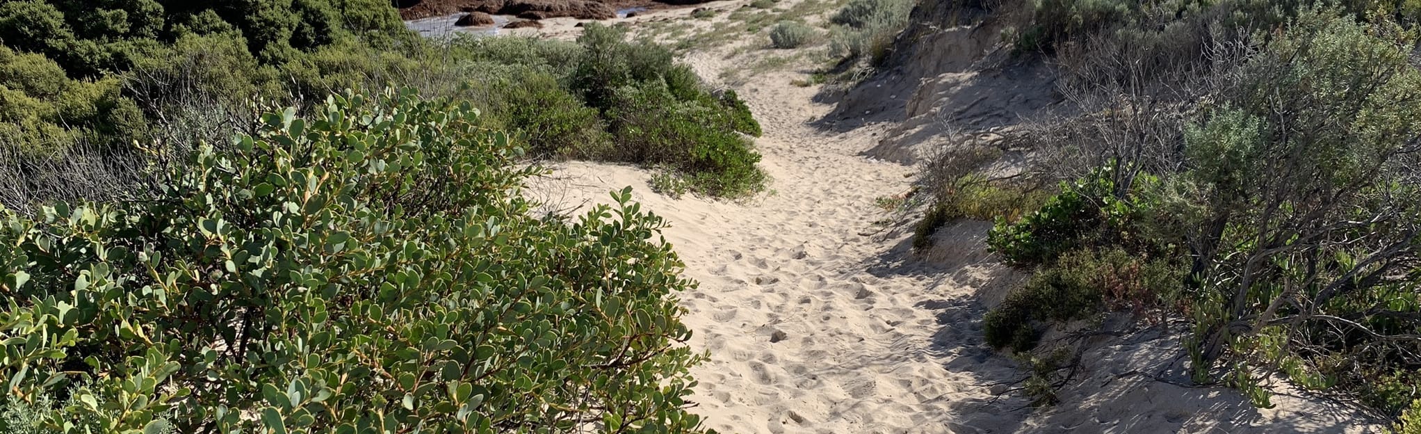 Salmon Point via Elliston Jetty, South Australia, Australia - 2 Reviews ...