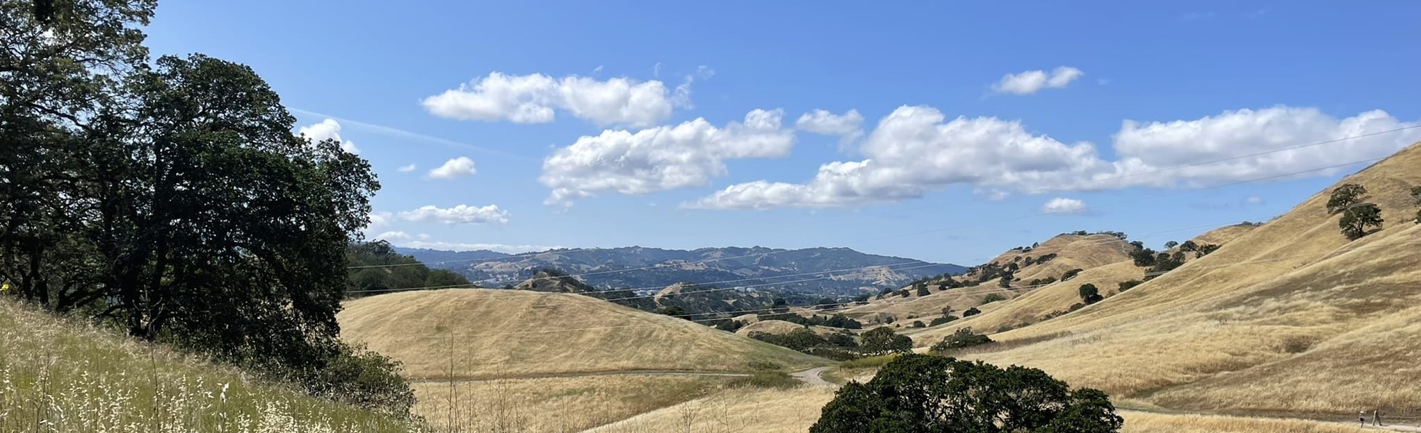 Shell Ridge: Pine Canyon Loop - California | AllTrails