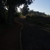 Tokai Forest Walk, Western Cape, South Africa - 229 Reviews, Map ...