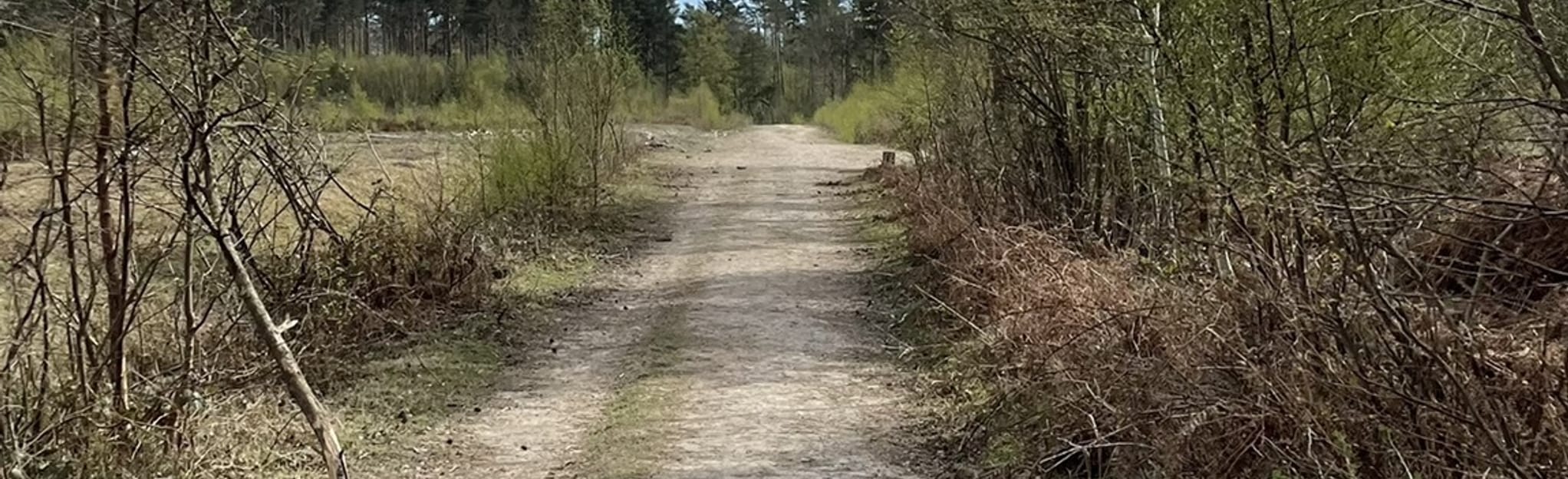 Eridge Rocks and Broadwater Warren Circular, Kent, England - 25 Reviews ...