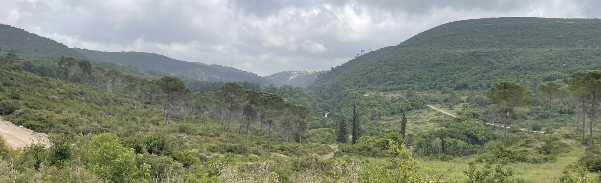 Neve Shaanan, Nesher, Beit Oren and Carmel Forest, Haifa, Israel - 2 ...