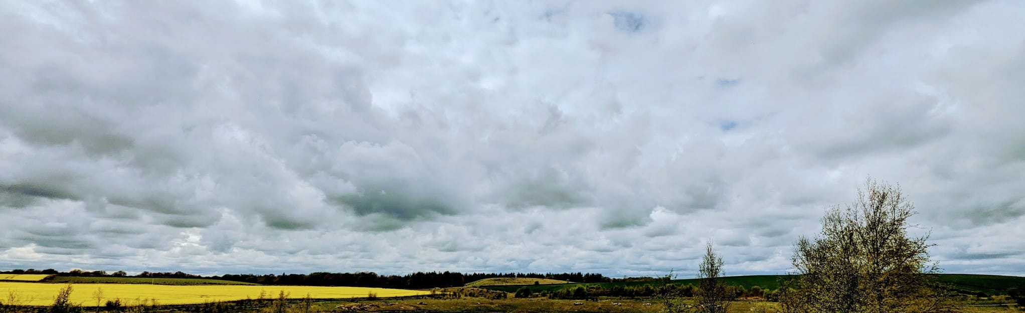 Morpeth Circular: 14 Reviews, Map - Northumberland, England | AllTrails