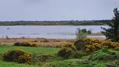 2023 Best Lake Trails in Ballinlough | AllTrails