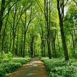 Amsterdamse Bos - Grote Vijver - Land van Bosse: 204 foto's - Noord ...