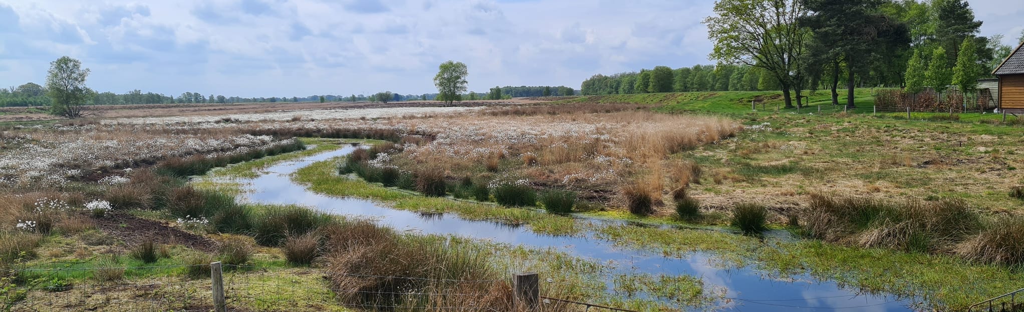 Groene Wissel: Natuurreservaat Bargerveen 514, Drenthe, Netherlands ...