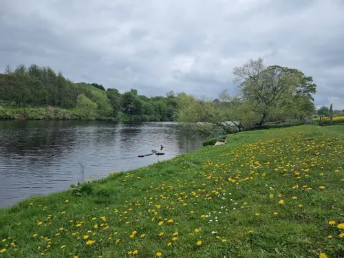 Best Trails, Walks, and Paths in Yarm | AllTrails