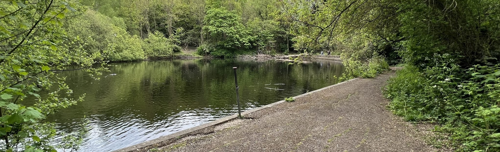 Barnet Gate Wood and Moat Mount Open Space - London, England | AllTrails