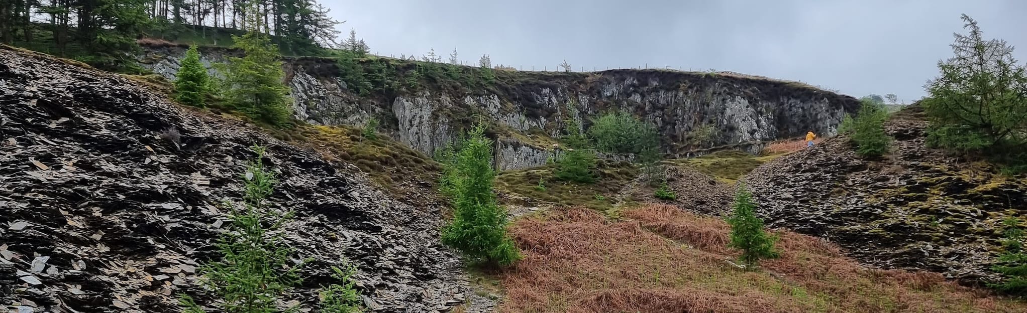 Fairbourne to Blue Lake, Gwynedd, Wales - 29 Reviews, Map | AllTrails