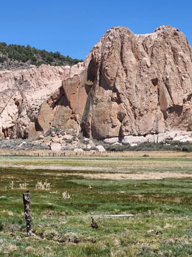 Best Hikes and Trails in Spring Valley State Park | AllTrails