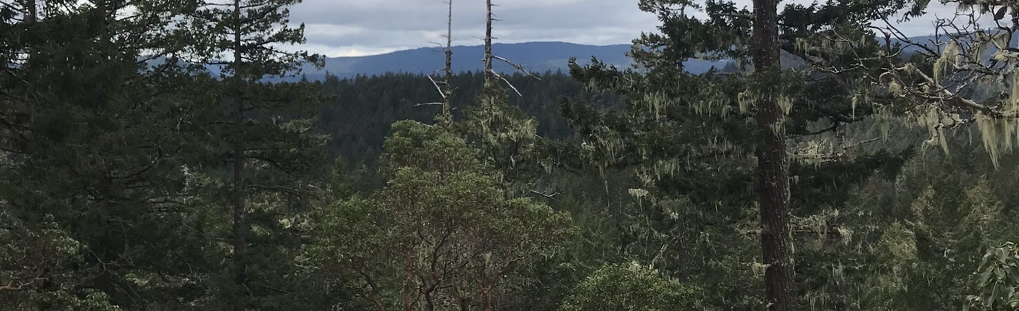 Mount Work: Dave's Line, Jelly Roll, South Ridge Loop - British ...