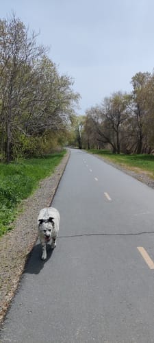 Best Hikes and Trails in Steed Park | AllTrails