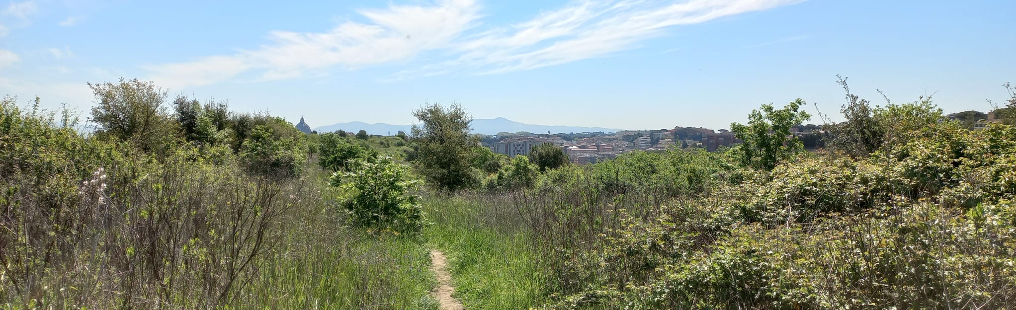 Pineto Regional Urban Park, Lazio, Italy - 3 Reviews, Map | AllTrails