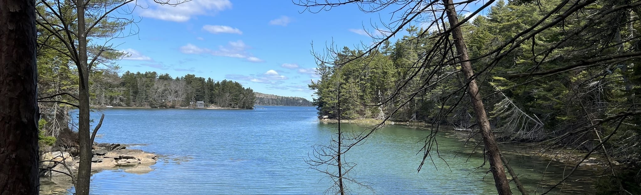 Plummer Point Shore Trail, Maine - 38 Reviews, Map | AllTrails