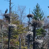 Monson Community Loop, New Hampshire - 268 Reviews, Map | AllTrails