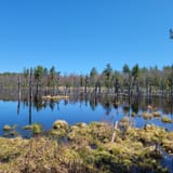 Monson Community Loop, New Hampshire - 268 Reviews, Map | AllTrails