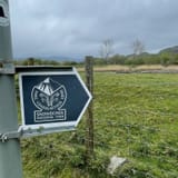 Arthog Waterfalls Circular, Gwynedd, Wales - 23 Reviews, Map | AllTrails