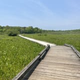Point of Rocks Trail, Virginia - 370 Reviews, Map | AllTrails