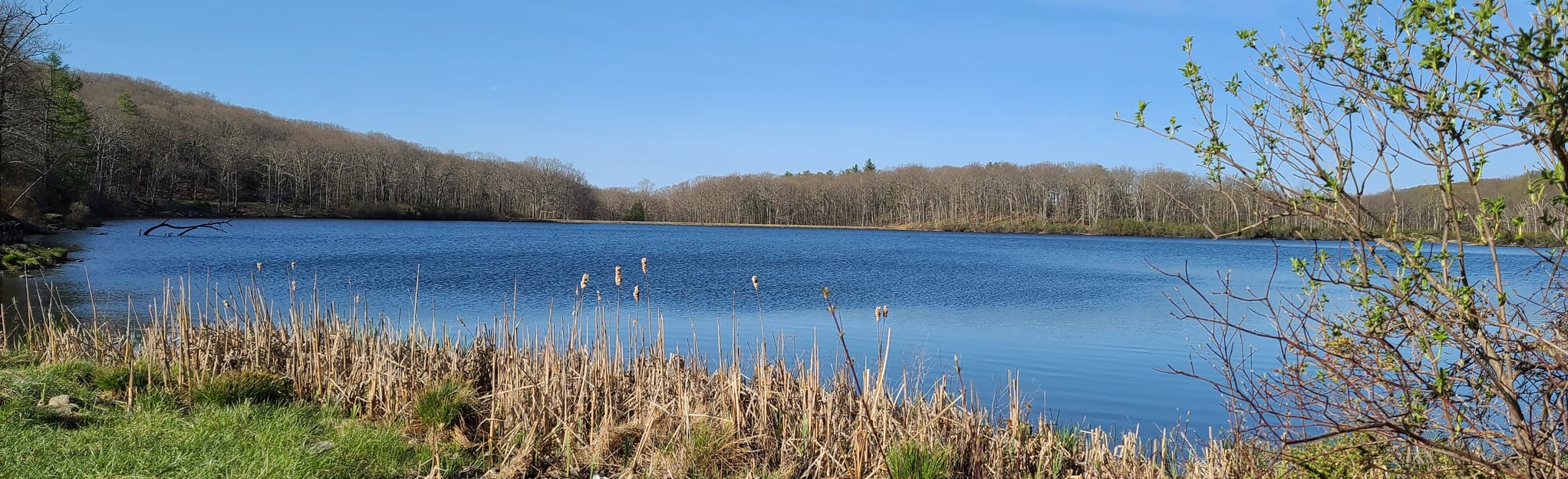 Pine Swamp Loop, New York - 1,069 Reviews, Map | AllTrails