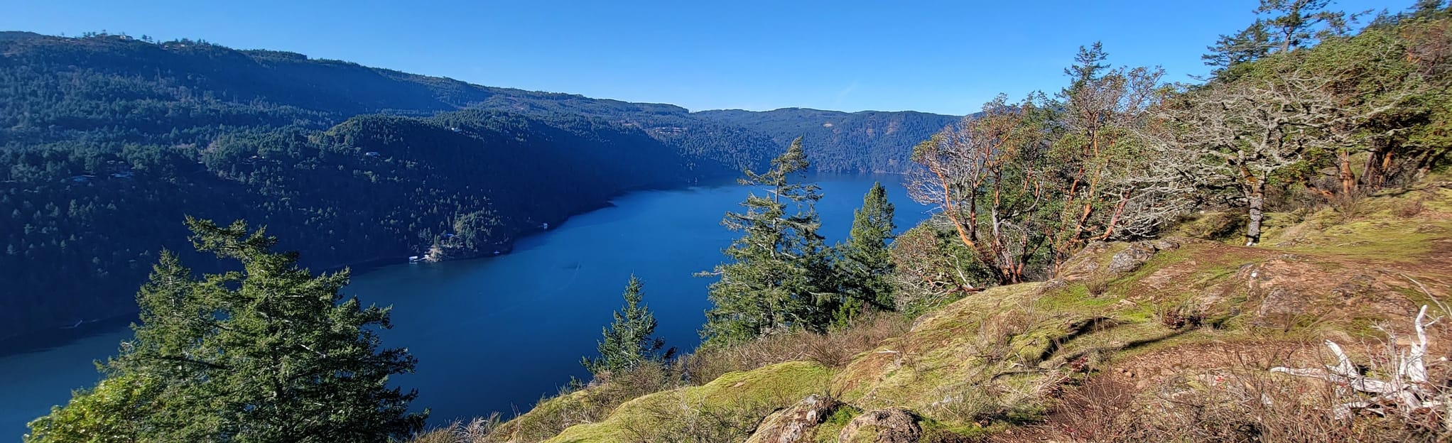 Lone Tree, Mount Finlayson, Scafe Hill and Mount Work Trail: 4 497 ...