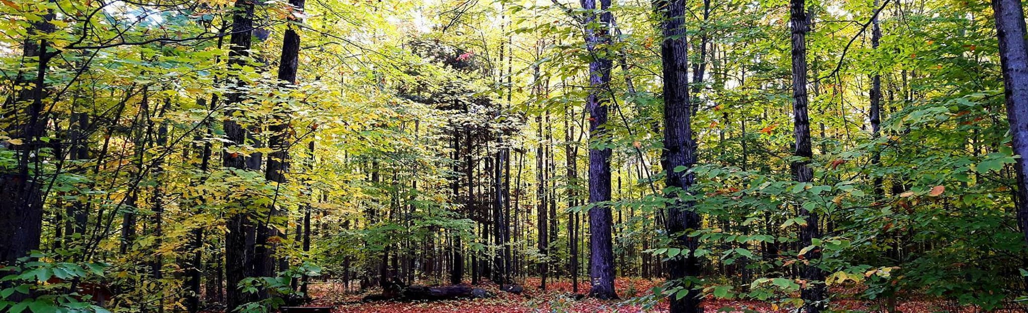 Musée de la Biodiversité: 6 Fotos - Québec, Kanada | AllTrails