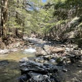 Wheelock Trail, New Hampshire - 103 Reviews, Map | AllTrails