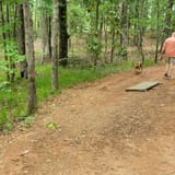 Ellerslie Park Loop, Georgia - 108 Reviews, Map | AllTrails