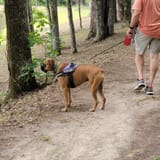 Ellerslie Park Loop, Georgia - 108 Reviews, Map | AllTrails