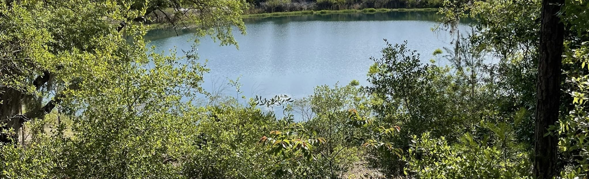 Gold Head Branch Equestrian Trail, Florida - 9 Reviews, Map | AllTrails